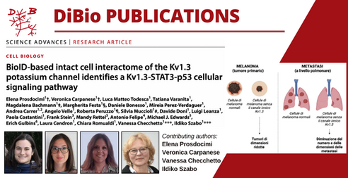 DIPARTIMENTO DI BIOLOGIA (DiBio) : Dipartimento di Biologia ...