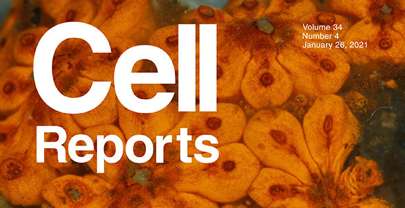 DIPARTIMENTO DI BIOLOGIA (DiBio) : Department of Biology - Università ...