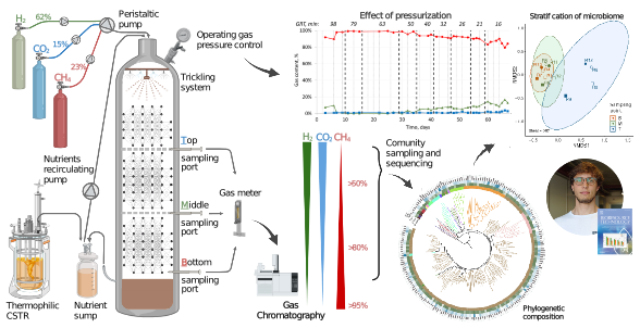 DIPARTIMENTO DI BIOLOGIA (DiBio) : Dipartimento di Biologia ...